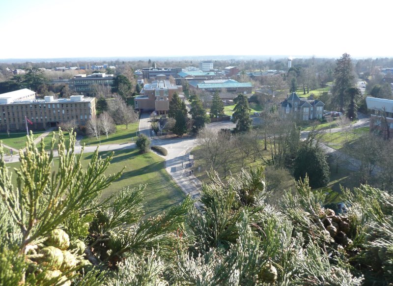 Redwood World: Reading - Whiteknights Campus (Berkshire)
