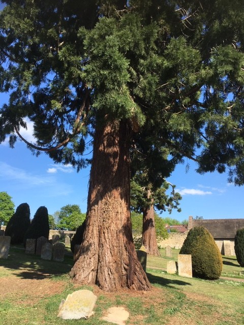 Redwood World: Stanwick - St Laurence Church (Northamptonshire)