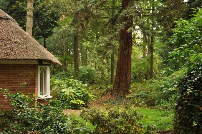 Redwood World: Swaffham - Lexham Hall (Norfolk)