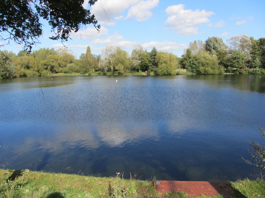 Redwood World: Needham Market - Alder Carr Farm (Suffolk)